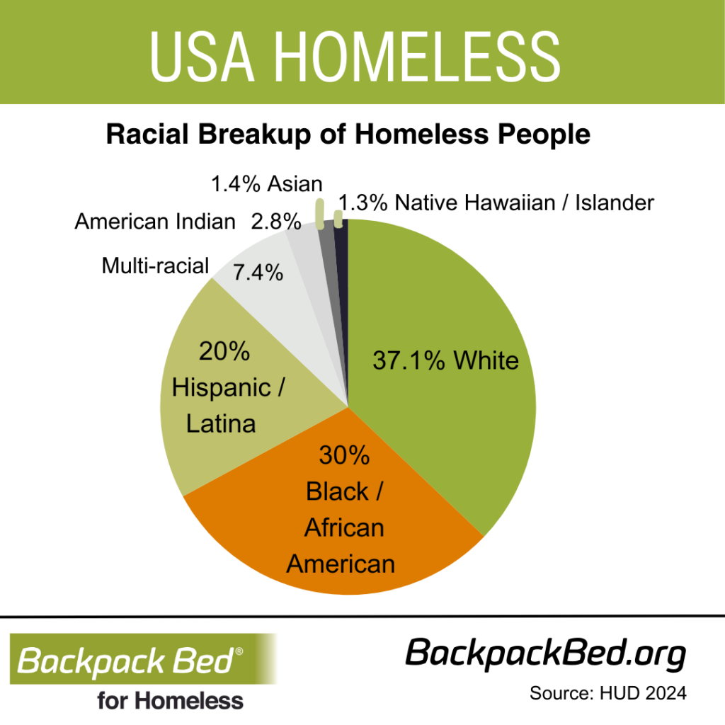 Facts About American Homeless - Backpack Bed for Homeless USA